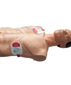 AMBU MAN: simulador de RCP para adultos, acessórios e estojo